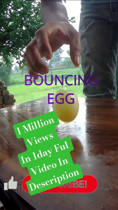 Ohh Egg 🥚 Is Bouncing😲 #science #shortsviral - YouTube