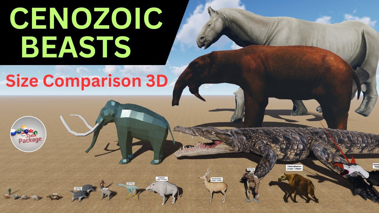 CENOZOIC BEASTS Size Comparison 3D 🐳🐬🦭🐟🐠🐡🦈🐙🐚🐋🦑 - YouTube