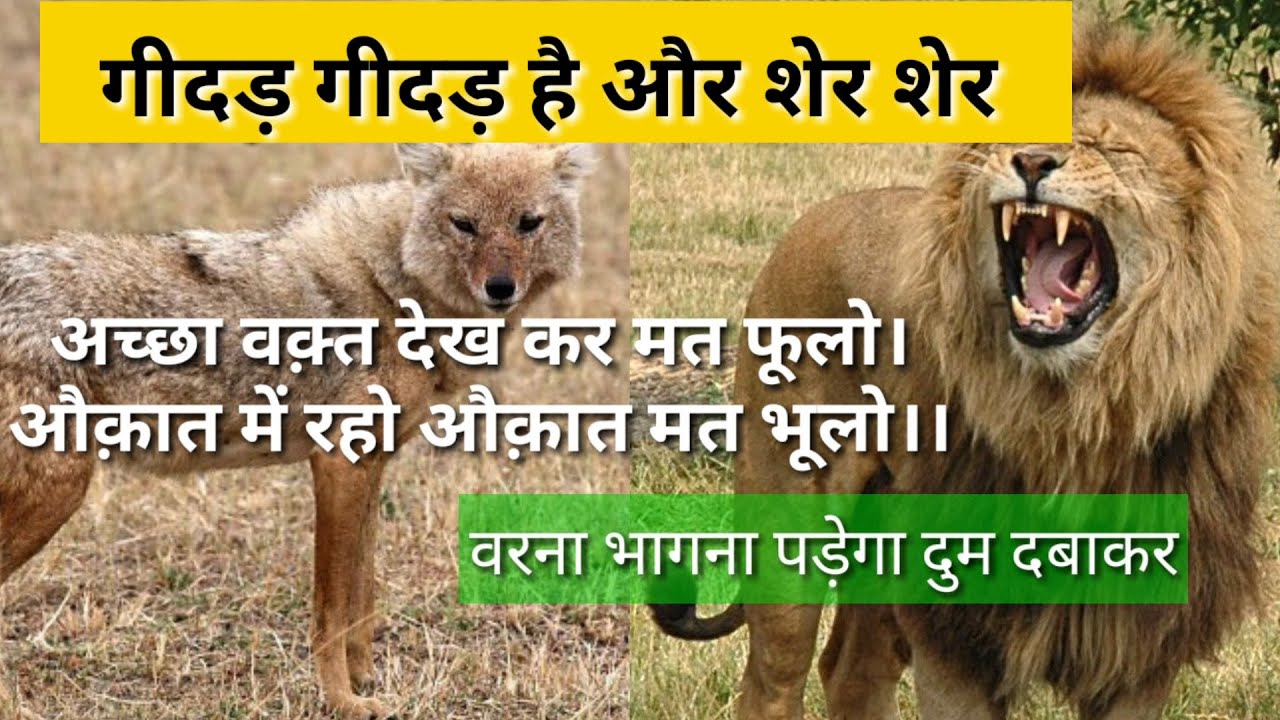 गीदड़ गीदड़ है और शेर शेर | पंचतंत्र की कहानी | Geedad Geedad Hai Aur ...