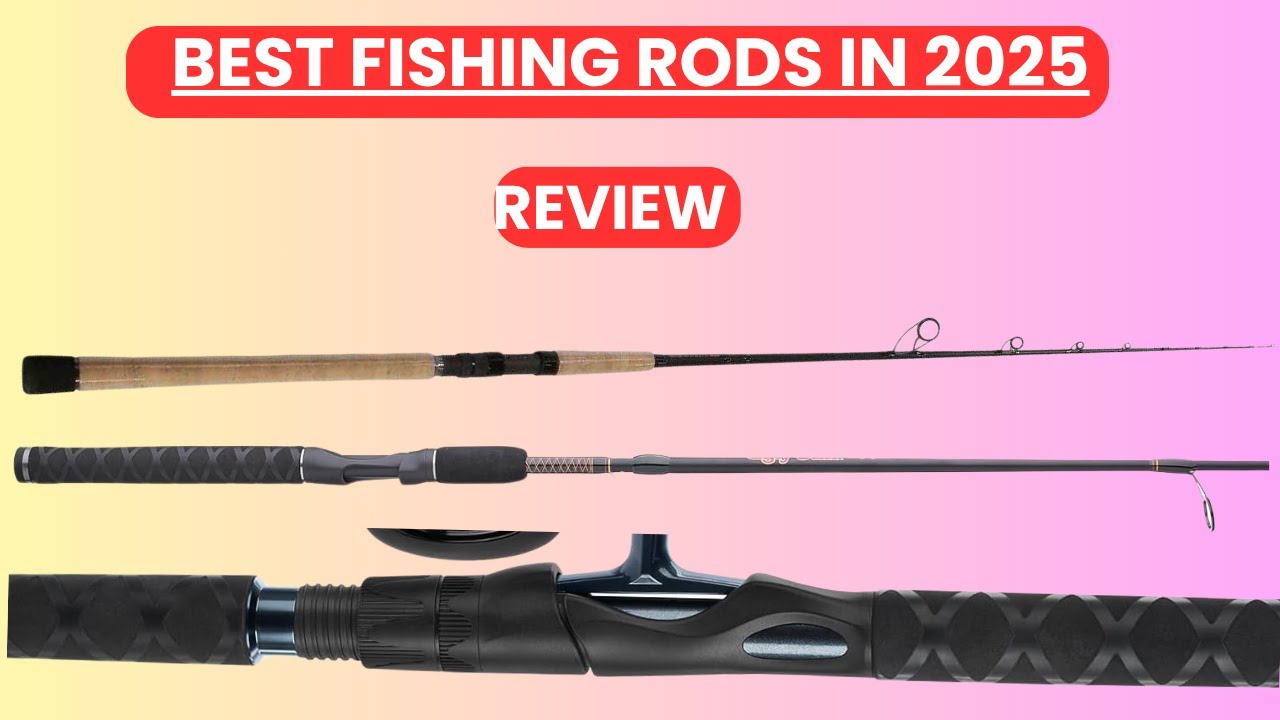 Best Fishing Rods in 2025 | Ultimate Review & Buyer's Guide - YouTube
