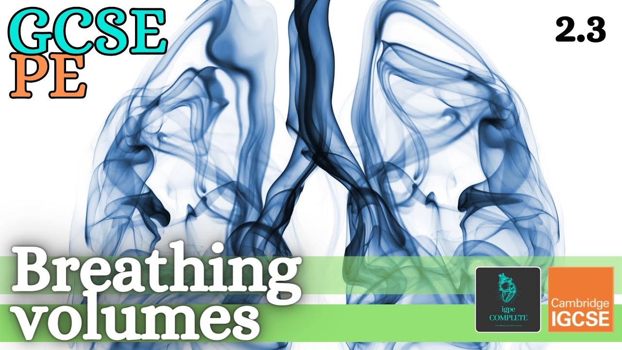 GCSE PE - BREATHING VOLUMES & MINUTE VENTILATION - Anatomy and ...