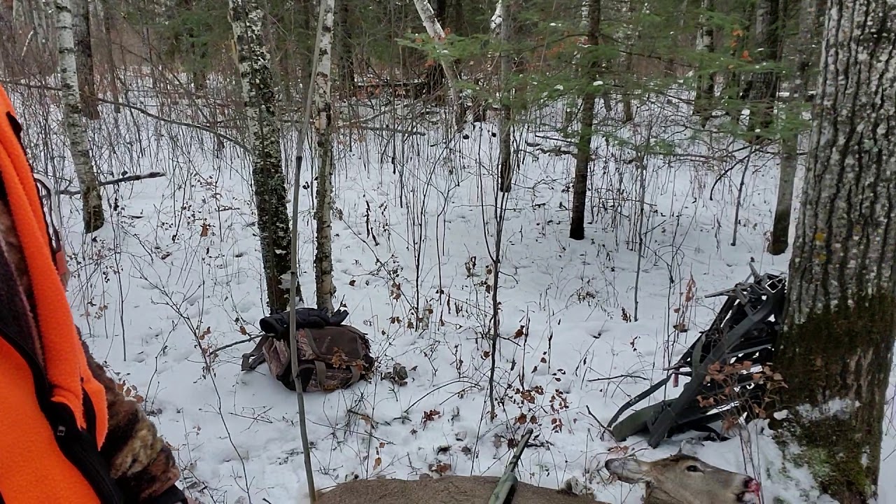 Deer hunting 2020 Manitoba - YouTube