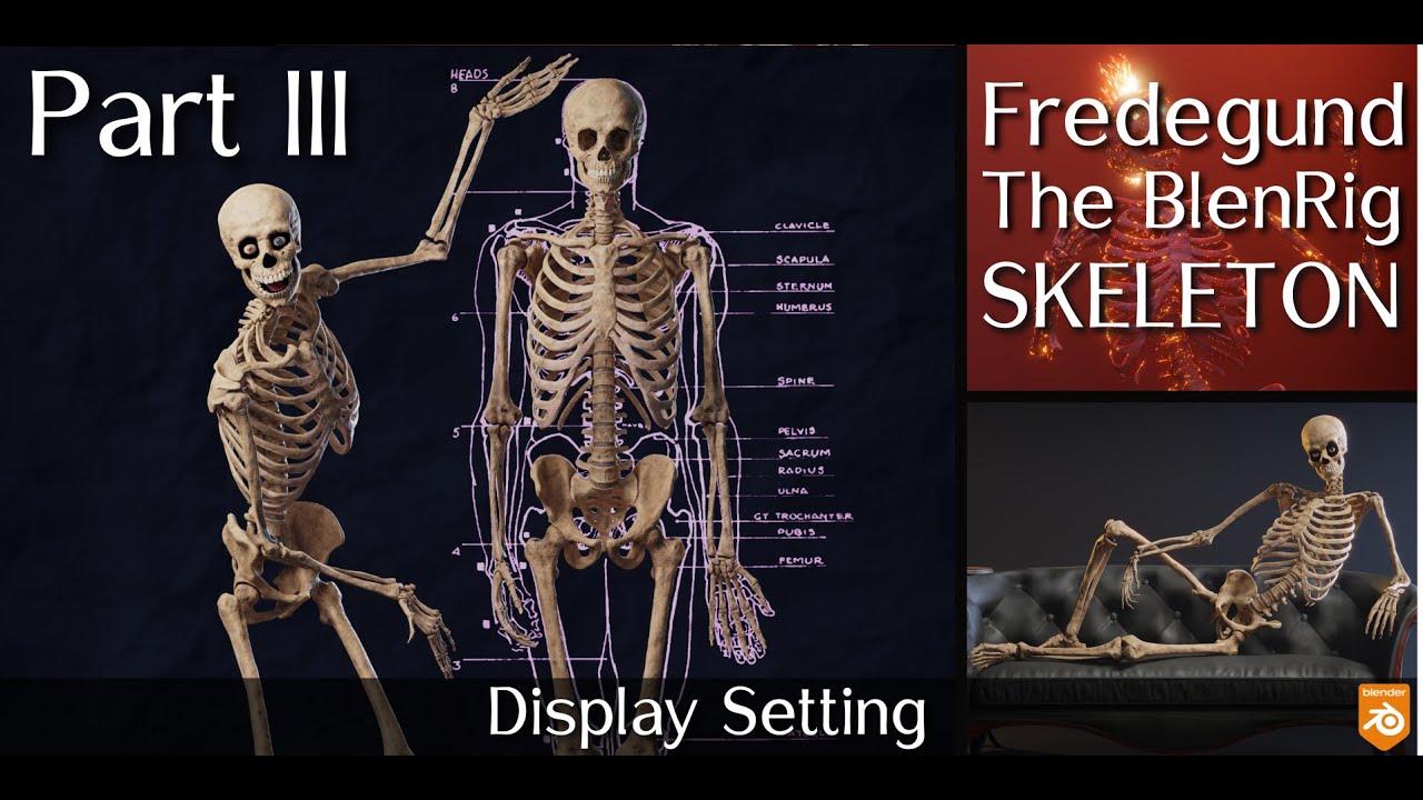 Fredegund - The BlenRig Skeleton. Part 3 Display Settings - YouTube