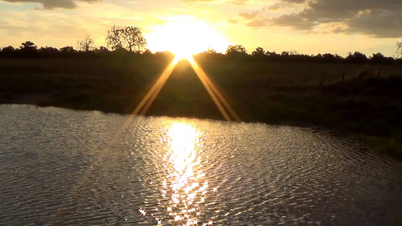 CANTO DO INHAMBU-CHORORÓ ao entardecer (CRYPTURELLUS PARVIROSTRIS ...