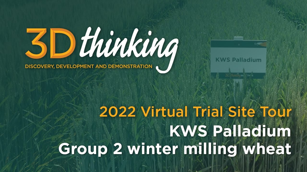 KWS Palladium - 3D Thinking | 2022 virtual trial site tour - YouTube
