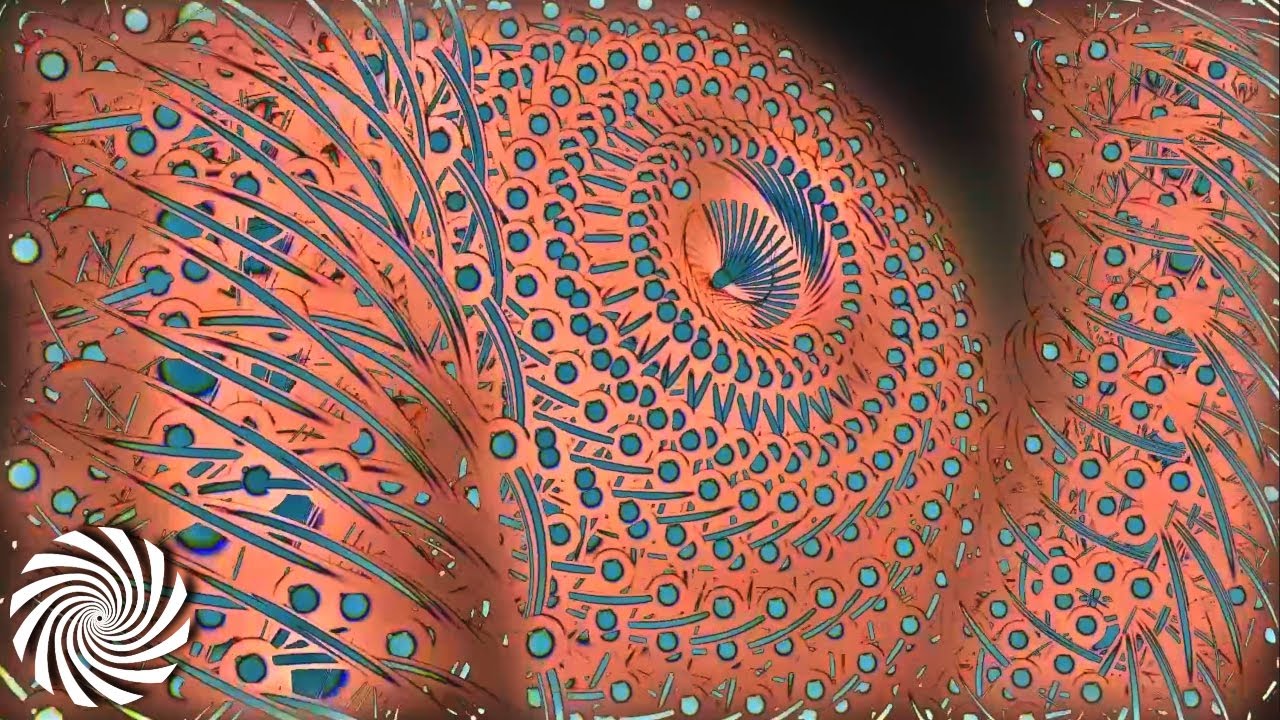 Tron & Zephirus Kane - Transitions [Psychedelic Visuals] - YouTube