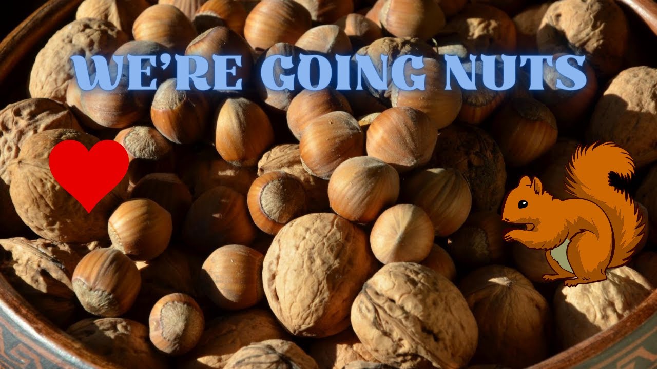 We're Going Nuts - YouTube