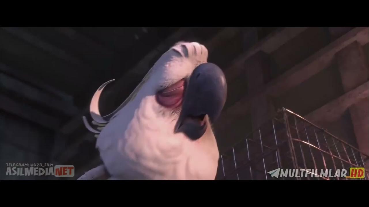 Rio - Nigel Defeat (Uzbek Voice-Over) - YouTube