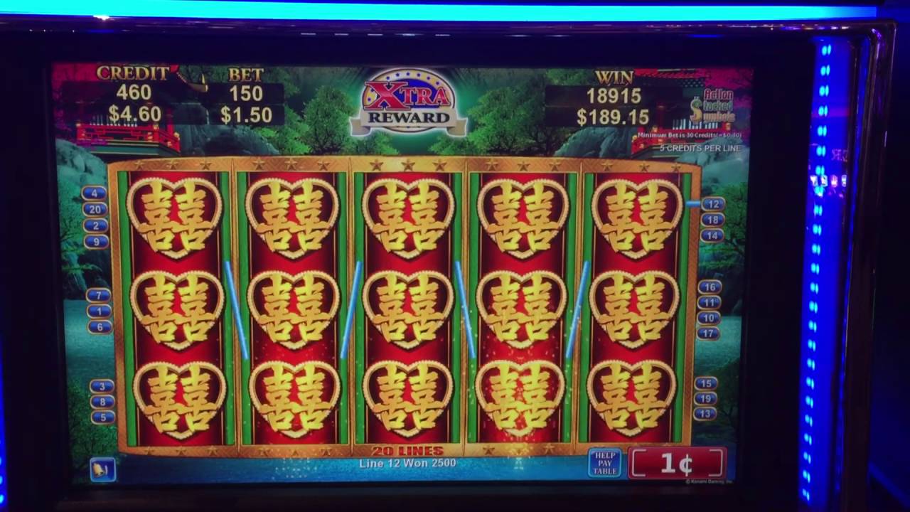 dragon law！！！full win！！ - YouTube