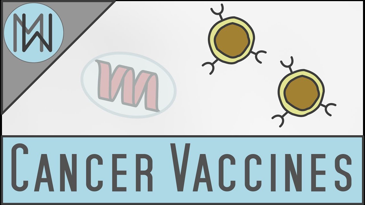 Cancer Vaccines: Can Spiders Help Us Beat Cancer? - YouTube