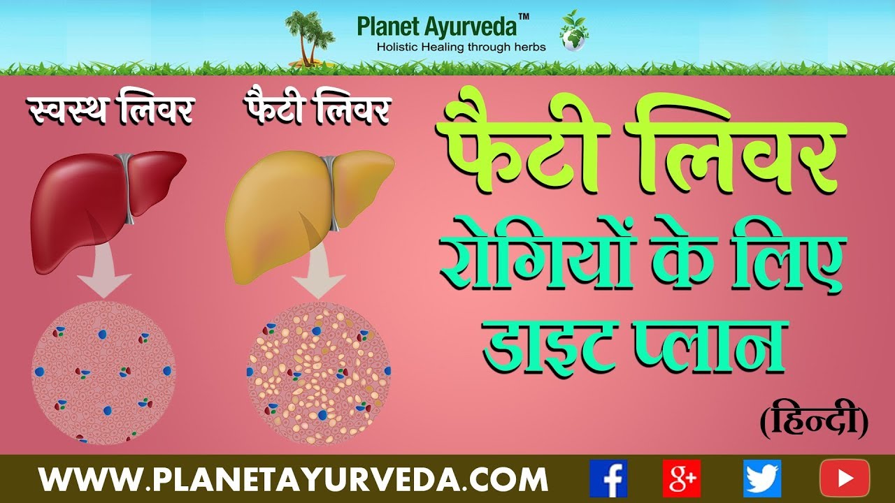 Diet Plan For Fatty Liver Patients In Hindi YouTube Diet Plan For Fatty Liver Patients In Hindi YouTube