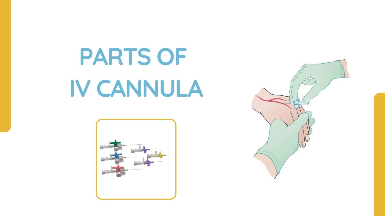 Parts of IV Cannula - YouTube