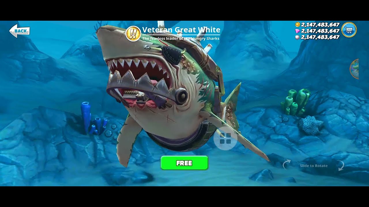 Making my first account from hungry shark 𝘱𝘢𝘳𝘵 1🤩 - YouTube