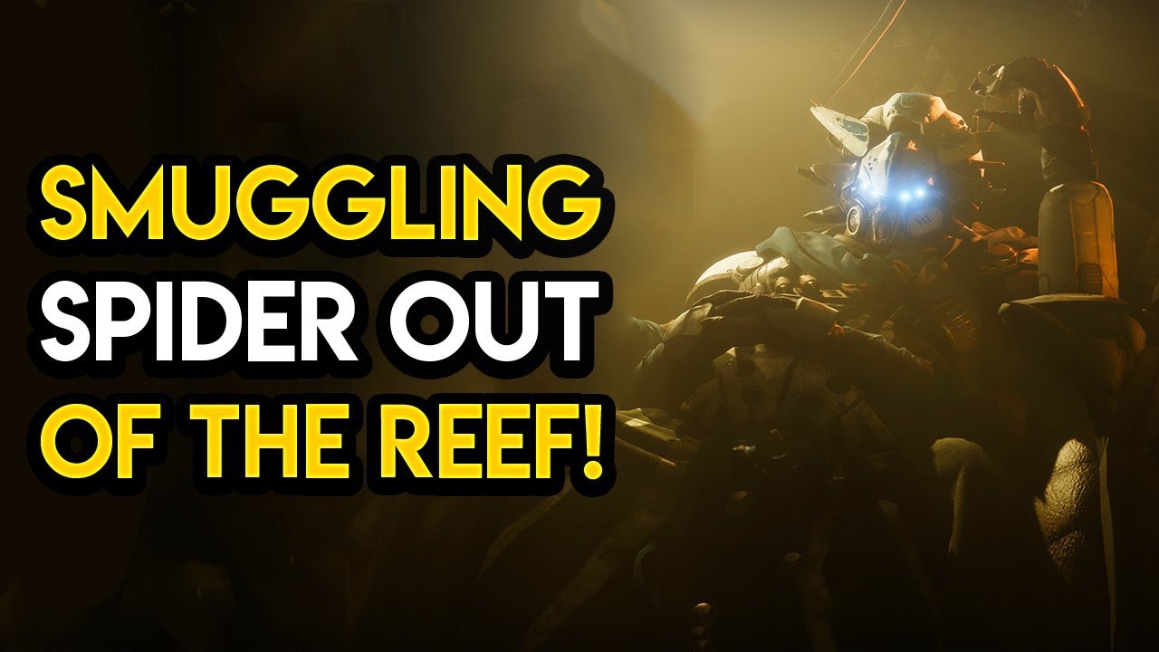Destiny 2 - THE SPIDER IS BEING HUNTED! Smuggling Him To The City? Or ...