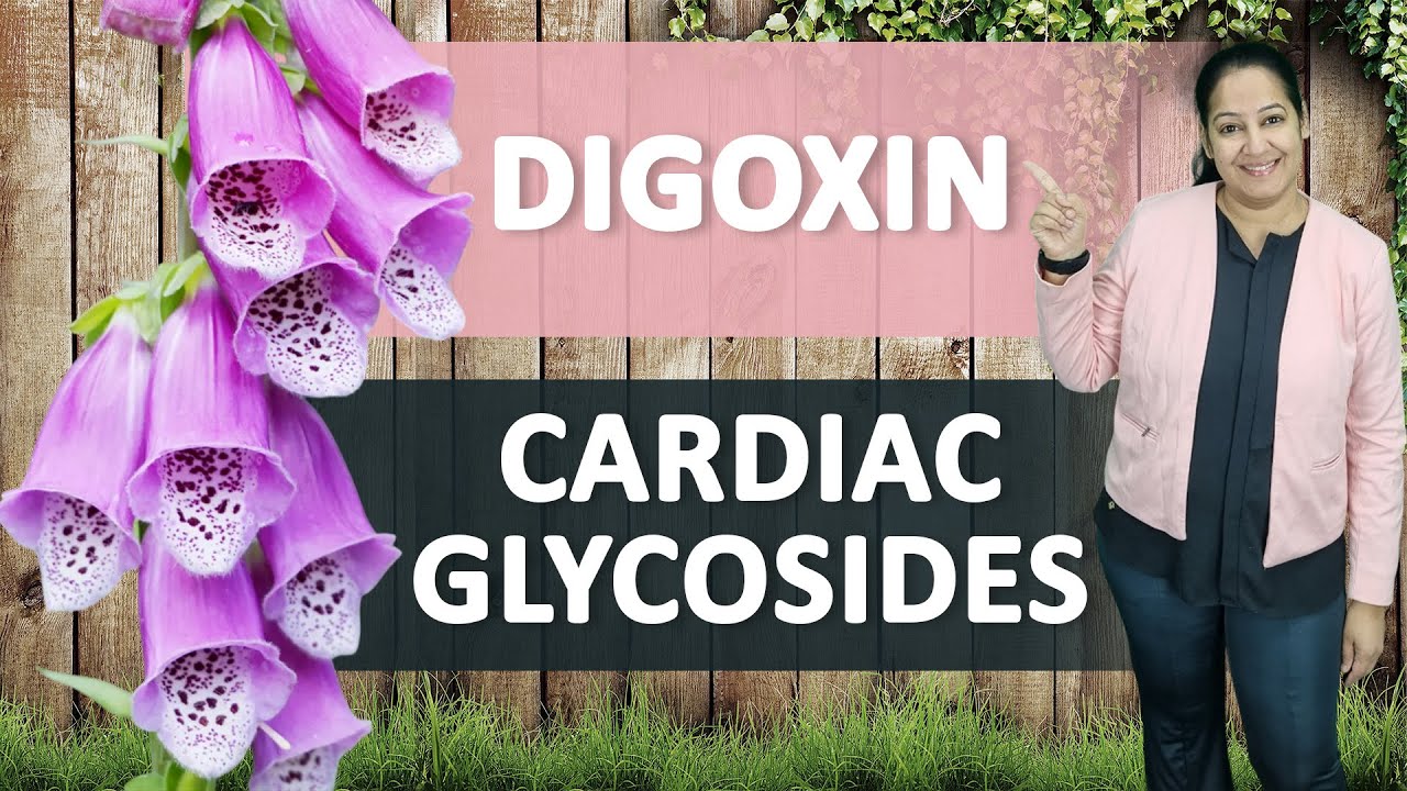 Digoxin (Digitalis) Mechanism of Action | Heart Failure Pharmacology ...