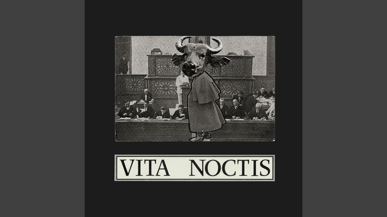 This is Not the Life - Music Video by Vita Noctis - Shazam