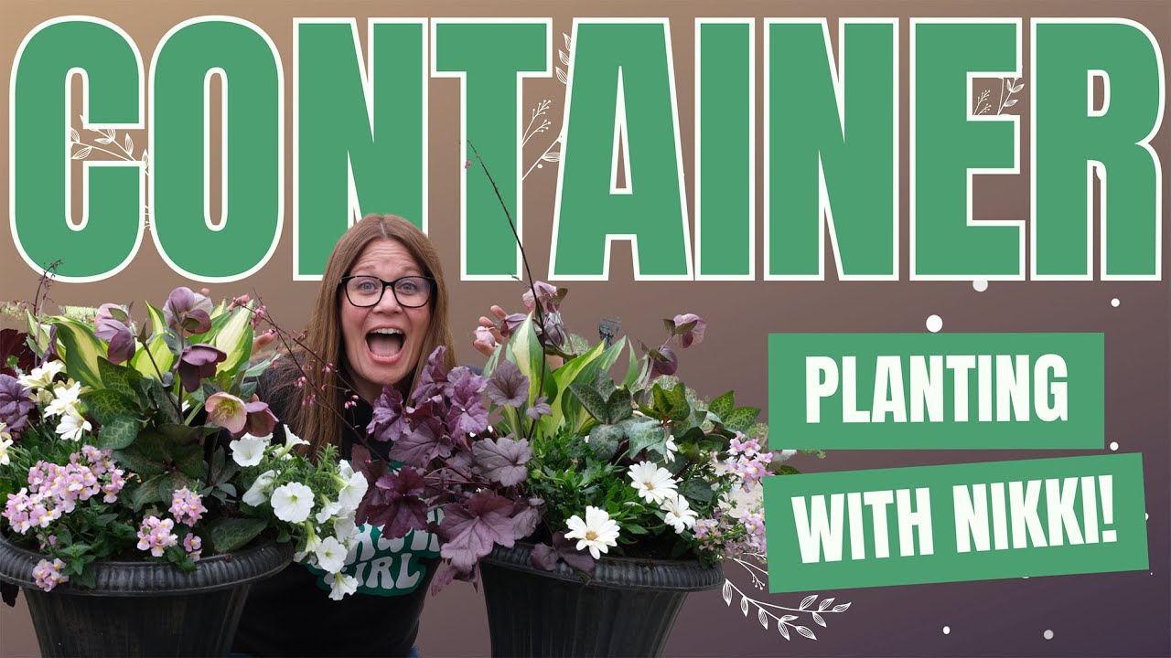 Container Planting With Proven Winners Direct - YouTube