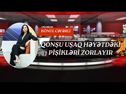 Qonşu uşaq həyətdəki pişikləri zorlayır