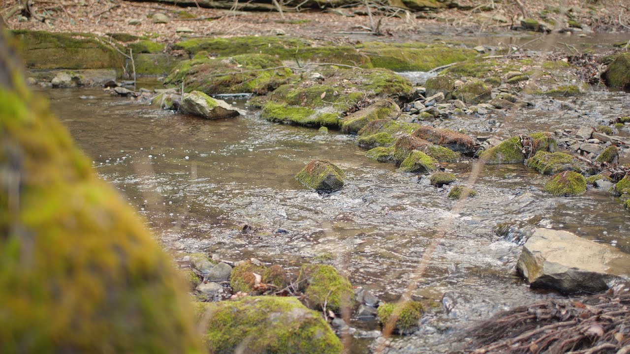 Panasonic LUMIX GH5s 4K 10 BIT TEST FOOTAGE - YouTube