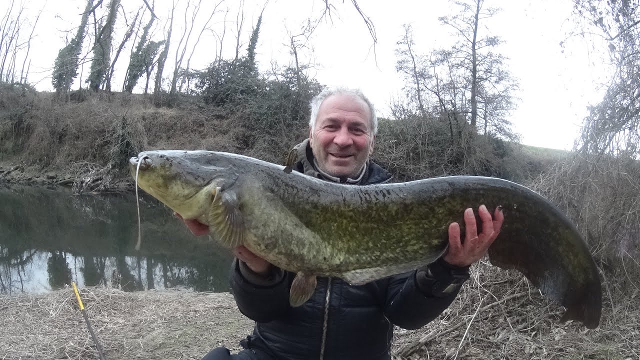 Siluro kg 7,6 con bolognese - YouTube