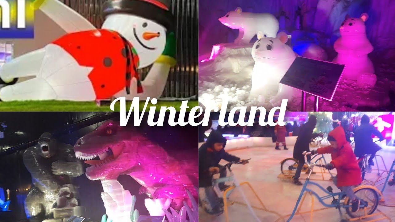Winterland In Karachi || Pakistani's First Indoor Snow Park In Karachi ...