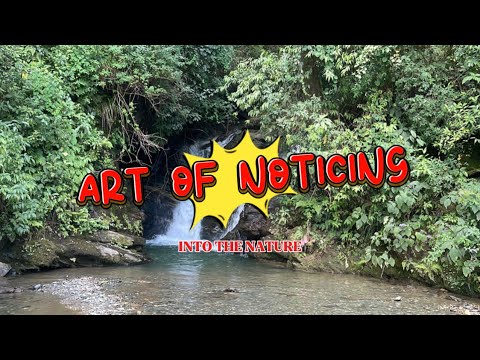 ART OF NOTICING | Into the Nature - YouTube