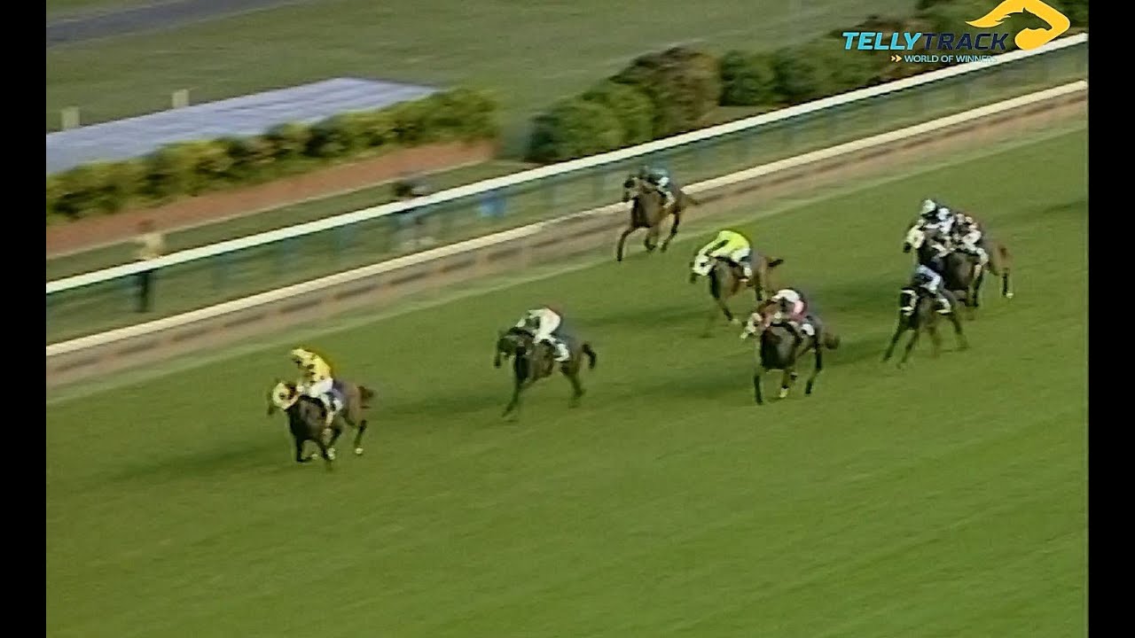 1 - SPLENDID NIGHT wins at Greyville - 1st Hollywood Syndicate Winner ...