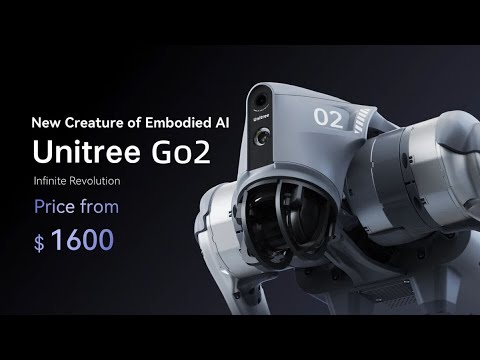 Unitree H1 The World's First Full-size Motor Drive Humanoid Robot Flips ...