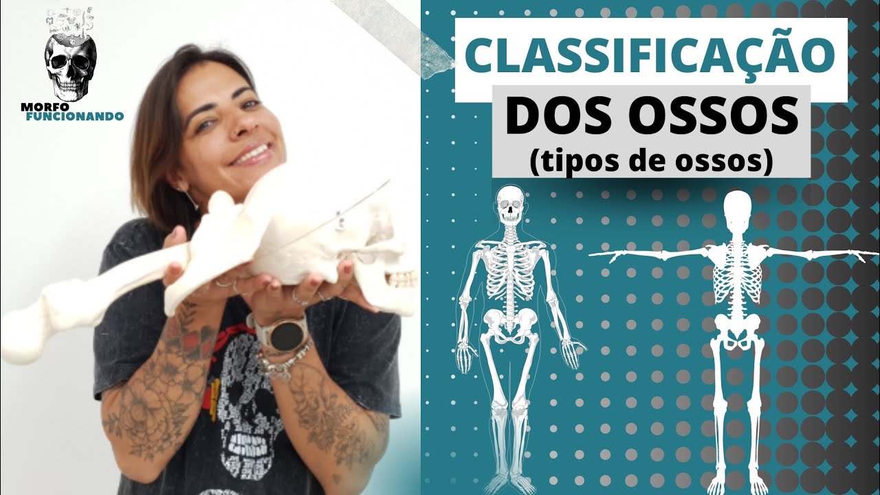 INTRODUÇÃO AO SISTEMA ESQUELÉTICO - CLASSIFICAÇÃO DOS OSSOS (TIPOS DE ...