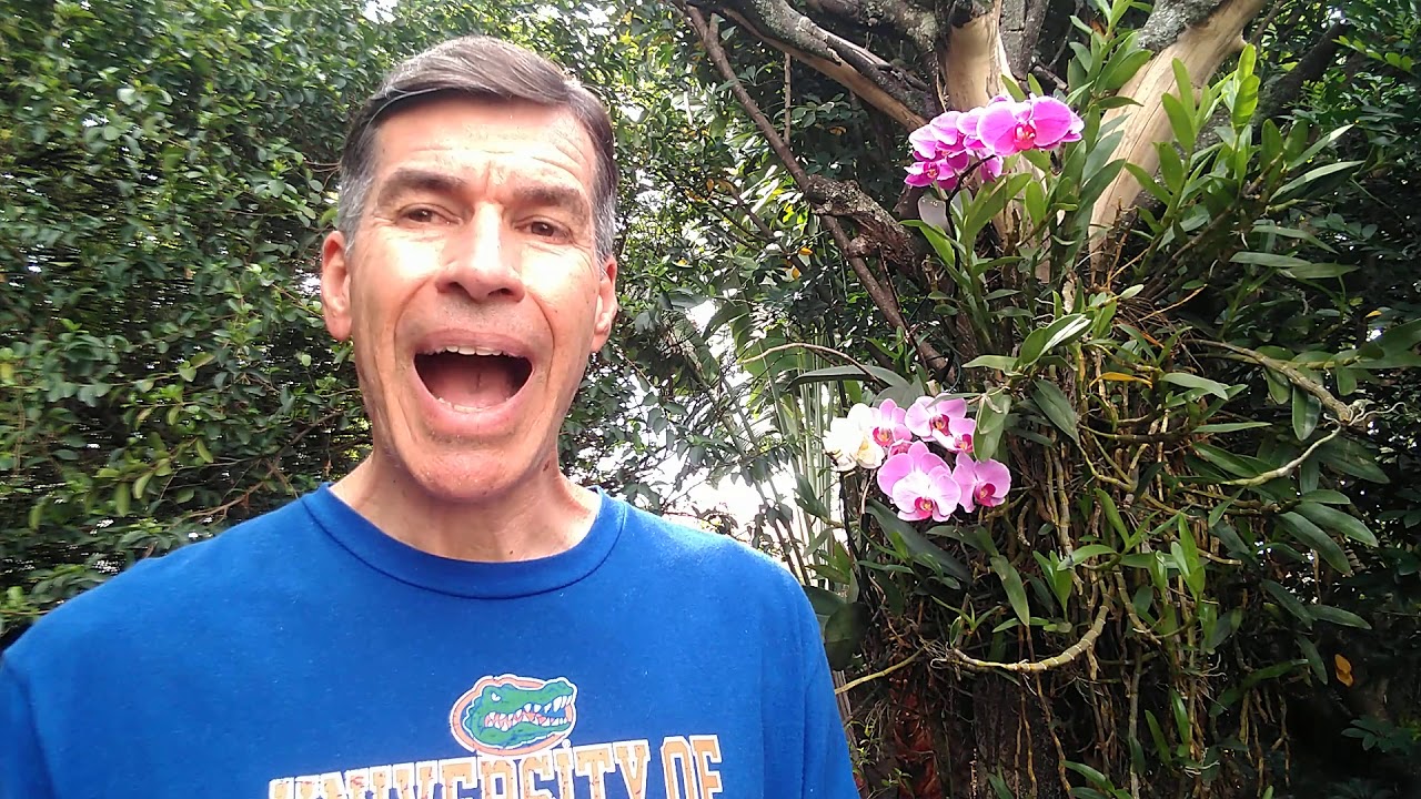 Claudio Bacci no TV MULHER no dia 29-10-20 - Sabor - YouTube