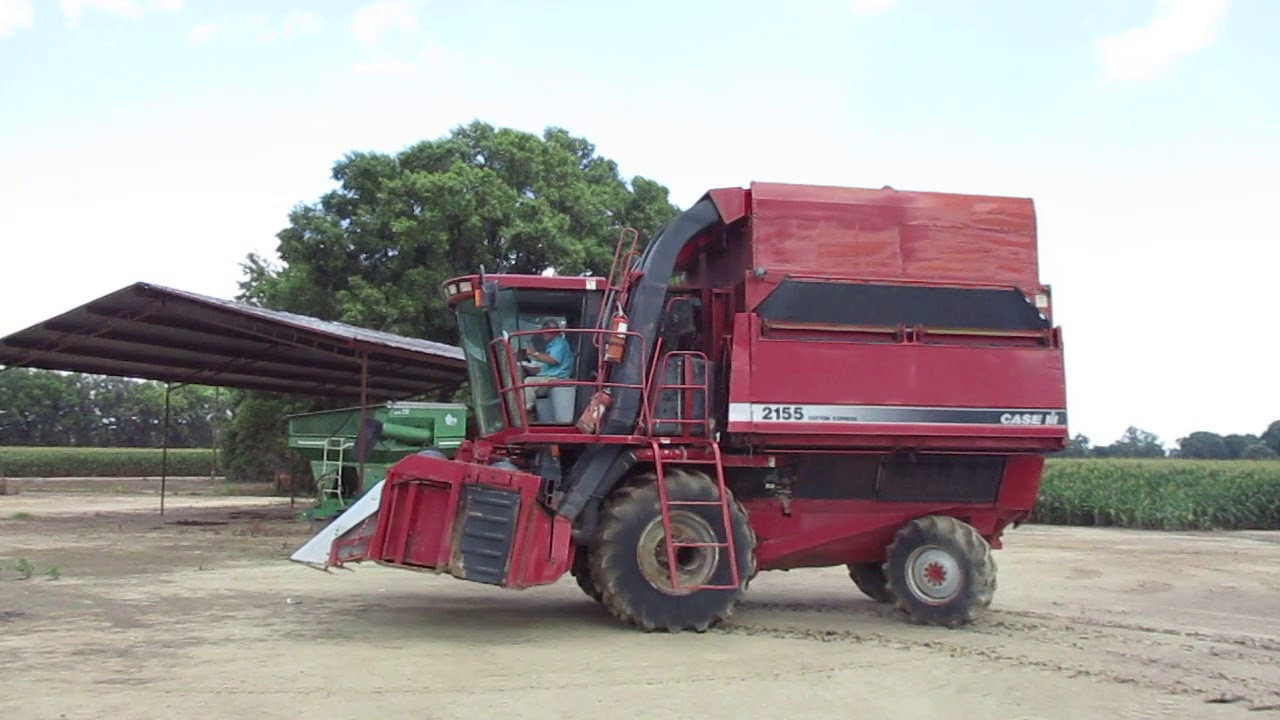 Case IH 2155 4 Row Cotton Express Picker - YouTube