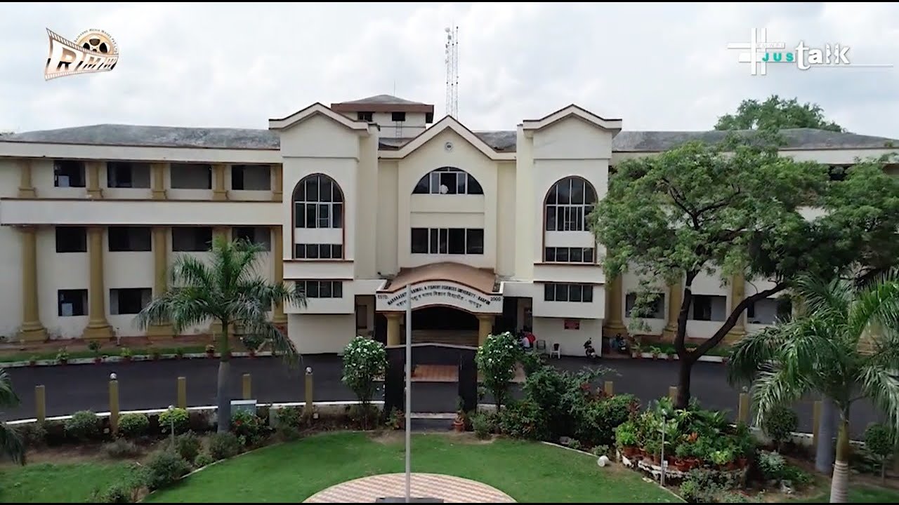 MAFSU | काय आहे माफसू ? । Maharashtra Animal & Fishery Sciences ...