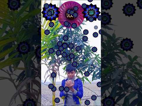 DUROOD O' SALAM #allah#najmulhuda01 #shorts #religion #reels