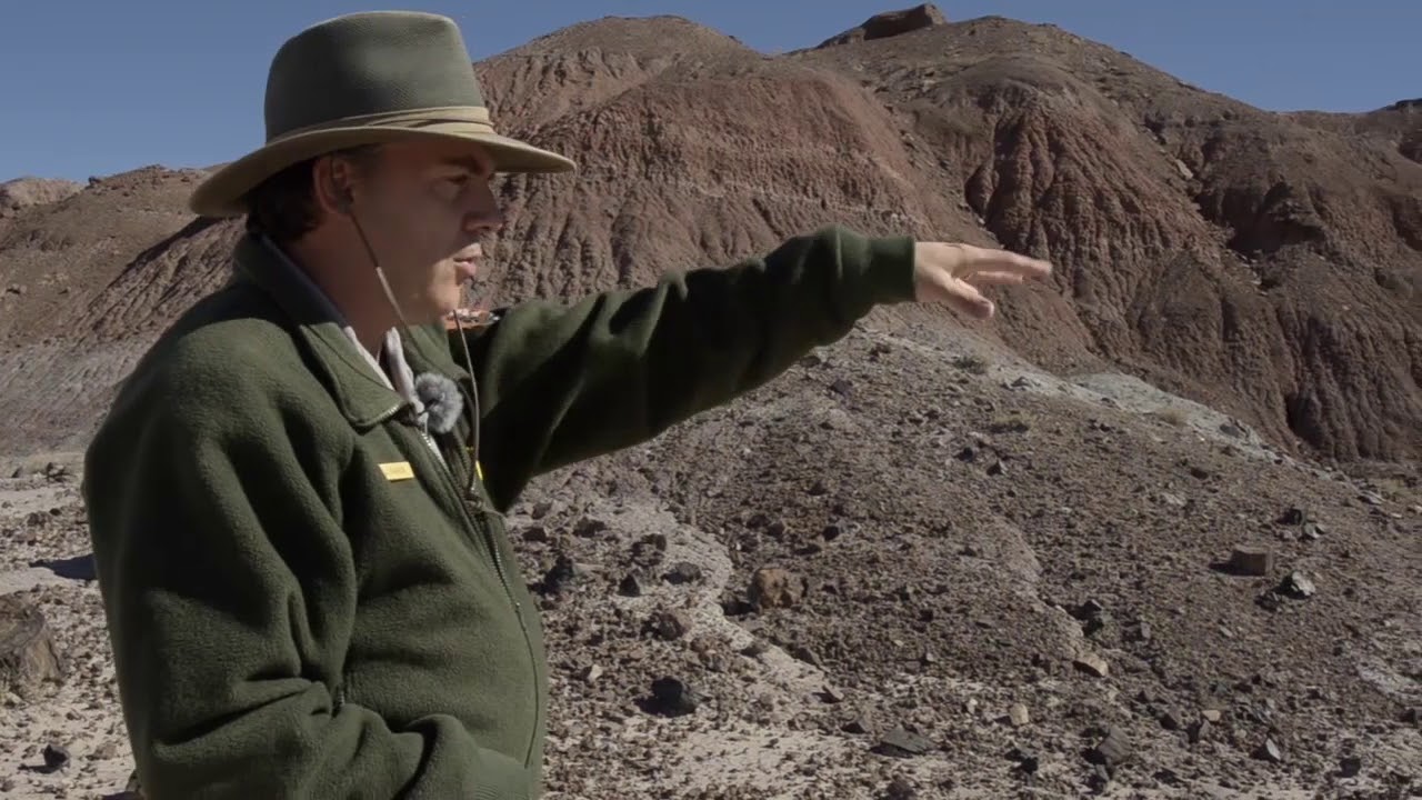 Revueltosaurus Callenderi - YouTube