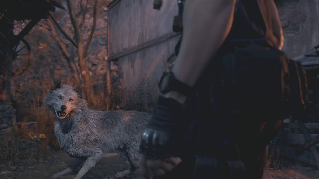 RESIDENT EVIL 4 REMAKE Walkthrough Gameplay Part 3 - DOG - YouTube