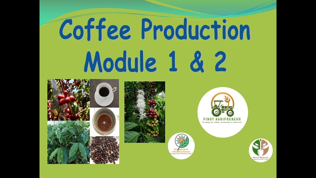Coffee Production Module 1&2 Seminar Replay - YouTube