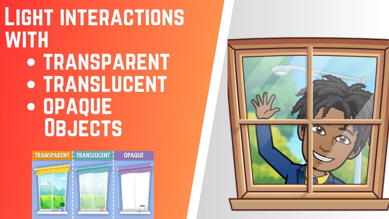 Light Interactions with Transparent, Translucent, & Opaque Objects ...