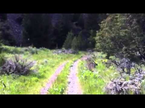 Trail ride near Howe, Idaho - YouTube