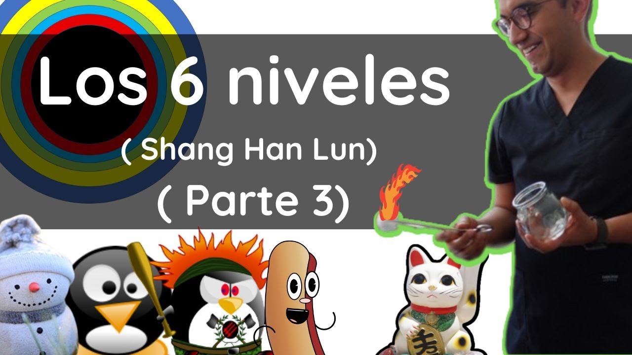 SHANG HAN LUN O TRATADO DE (CRIOPATOGENIA) LOS 6 NIVELES ( PARTE 3/5) | Acupuntura para párvulos ...