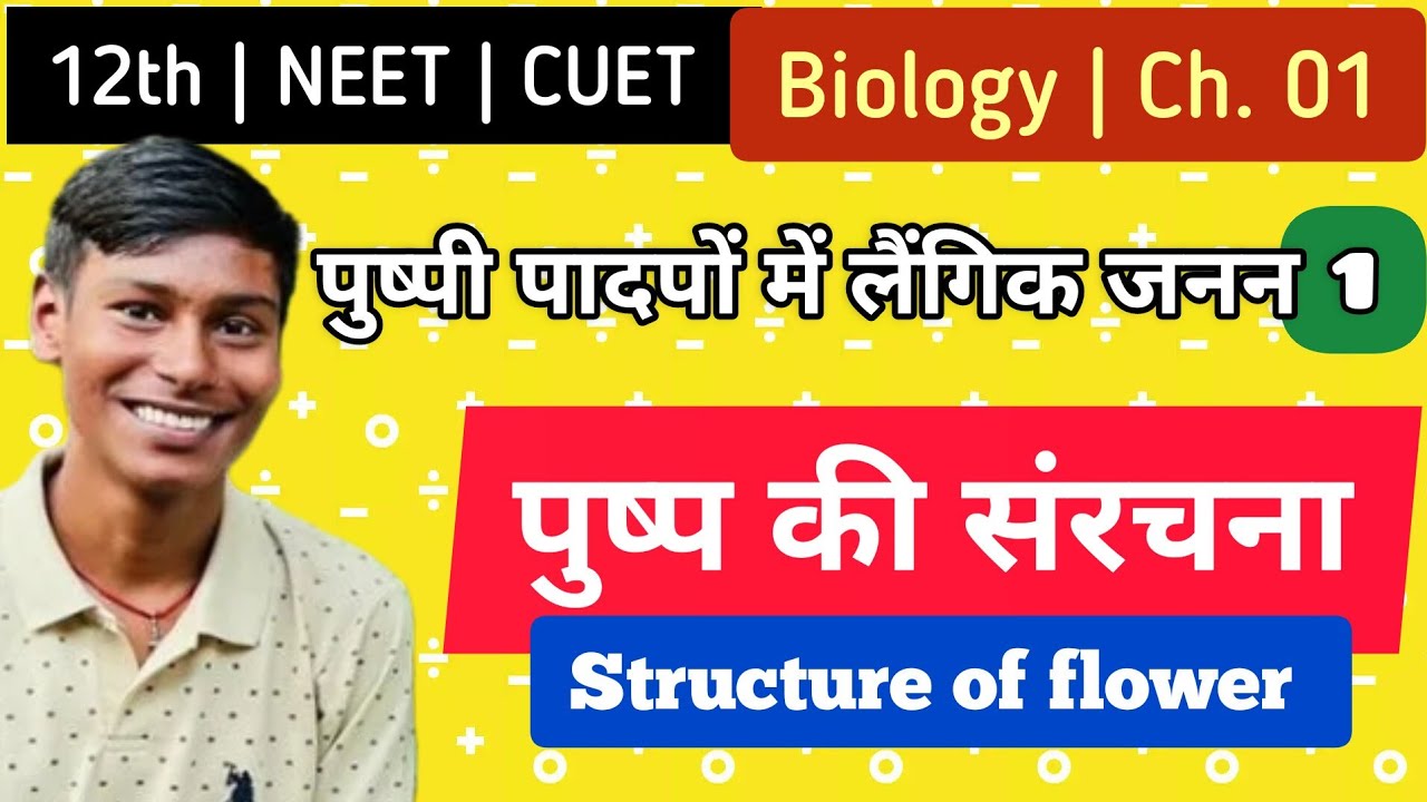 पुष्प की संरचना Structure Of Flower Parts Of Flower Sexual
