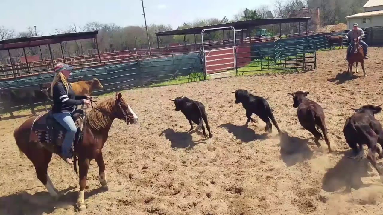 All About That Boss - Ranch Sorting - YouTube