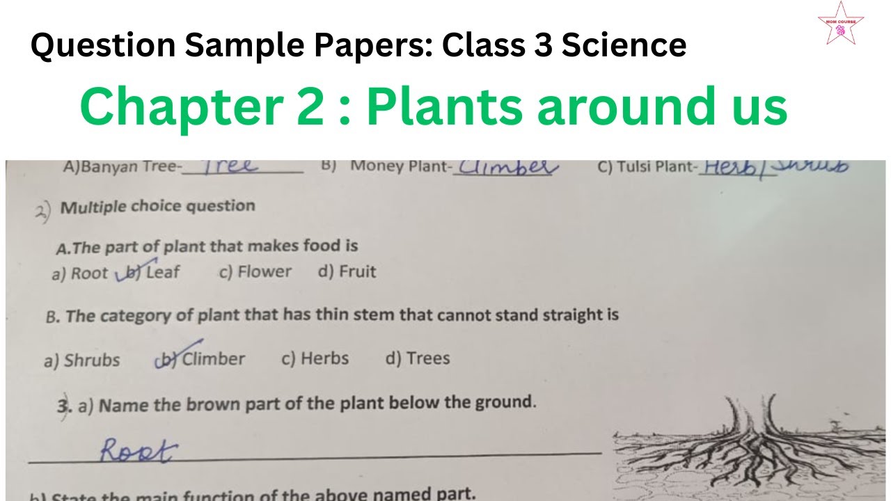 question paper Test Paper 2 Science Chapter 2 Plants Around Us - YouTube