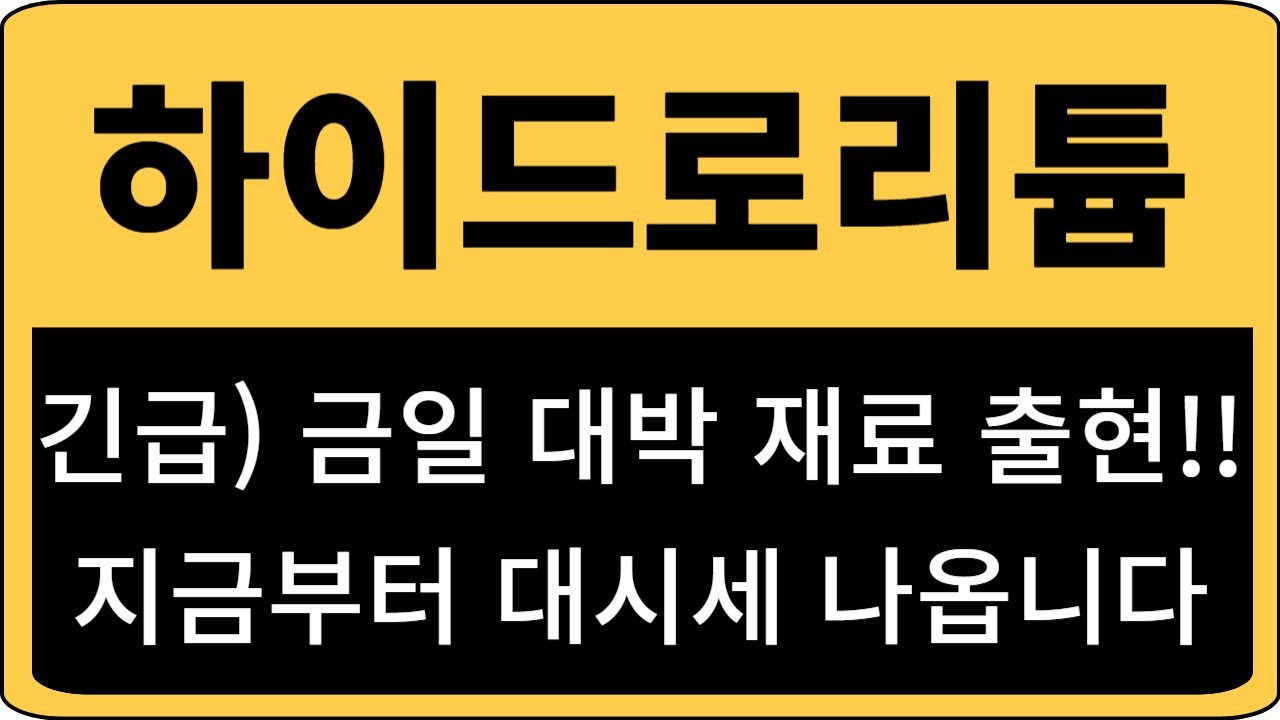 하이드로리튬 하이드로리튬하이드로리튬전망하이드로리튬분석하이드로리튬목표가하이드로리튬전망하이드로리튬대응