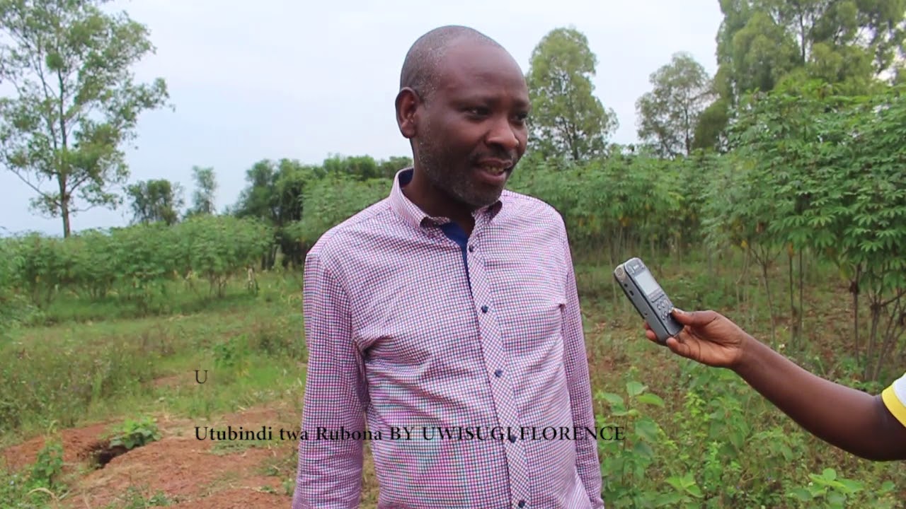 AMATEKA: UTUBINDI TWA RUBONA , INKOMOKO Y.IMVUGO GENDA GICUCU RUGANZU ...