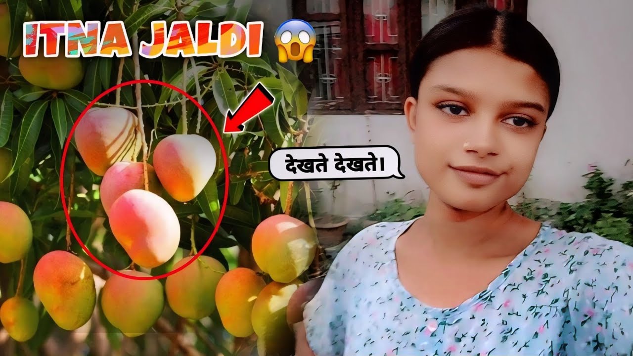 dekte dekte itna Sara aam agaya hai 😮 | Maja ayega khane maie 🤤 - YouTube