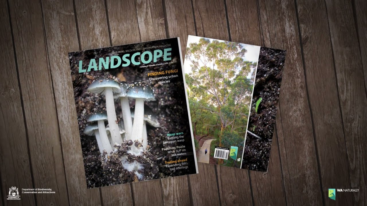 LANDSCOPE Autumn 2022 Magazine Promo - YouTube