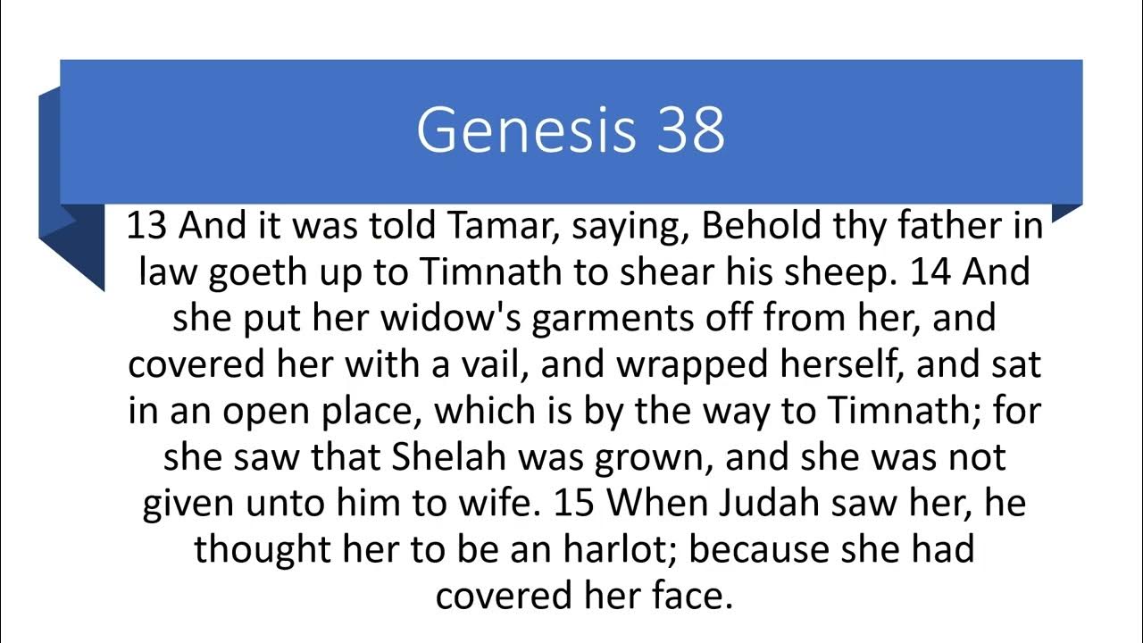 Daily Bible Reading for 8-20-23 Genesis Chapter 38 - YouTube