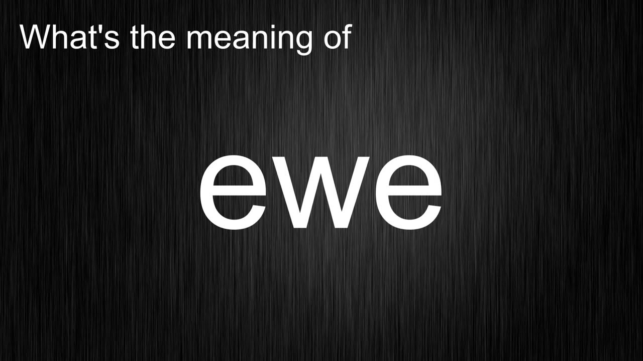 What's the meaning of "ewe", How to pronounce ewe? - YouTube