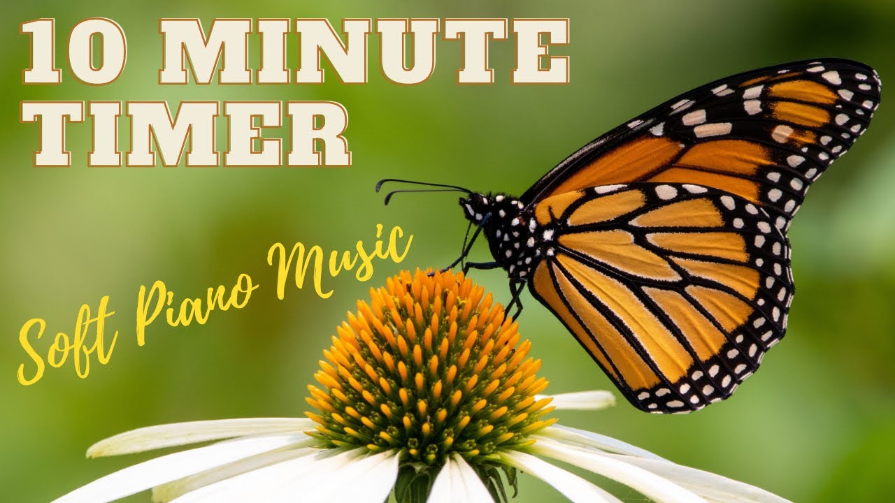 10-Minute Soft Music Butterfly Timer: Stay Focused and Productive ...