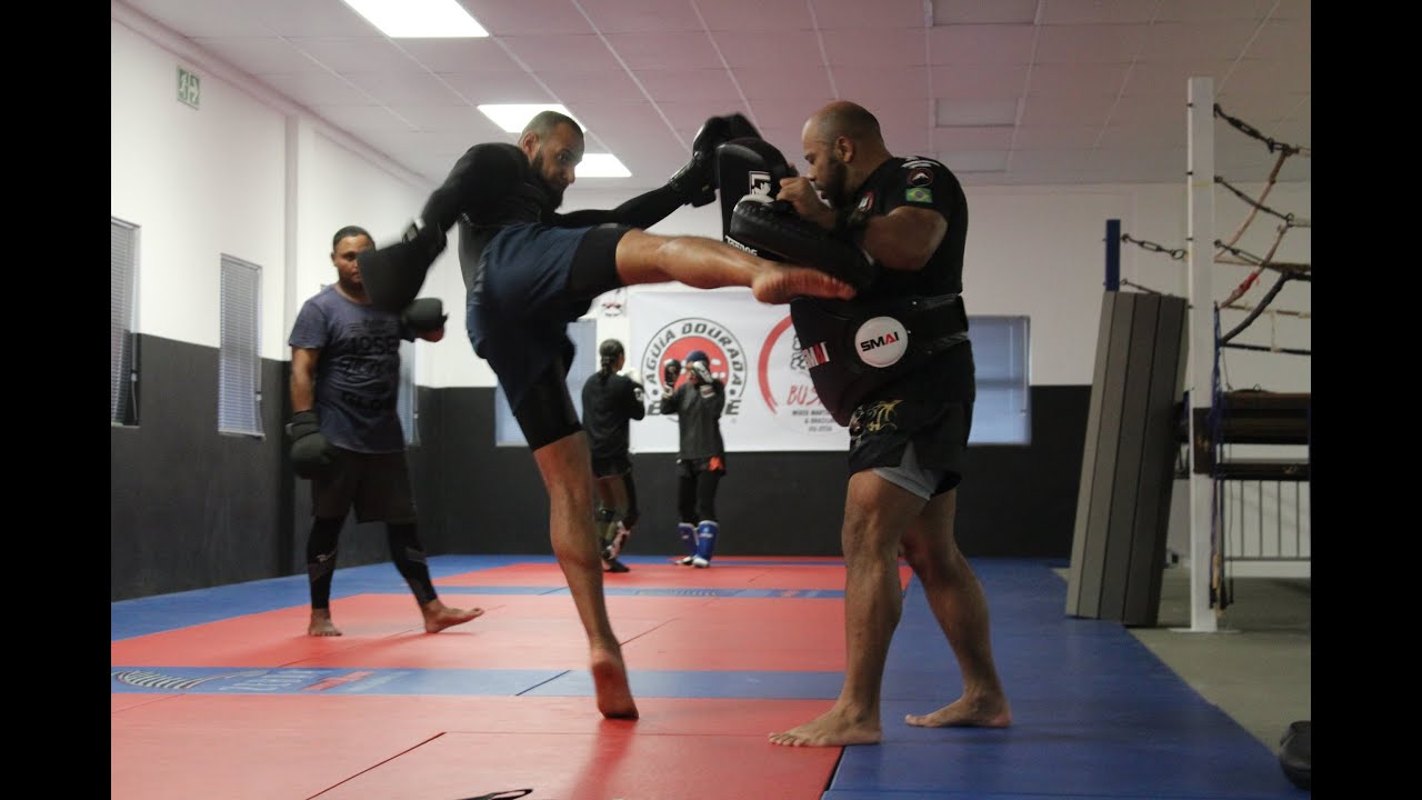 My new journey...BUSHIDO MMA & BJJ - YouTube